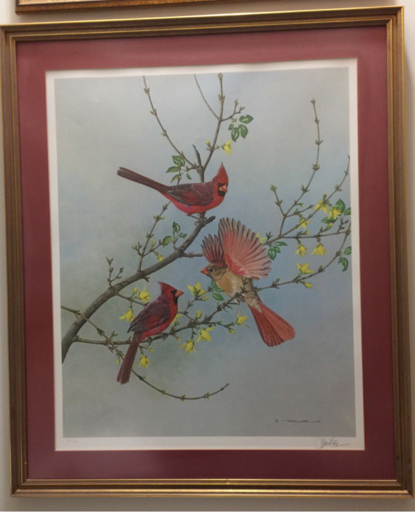 Cardinals - Basil Ede art collectible